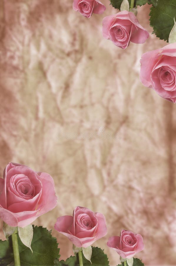 Texture with roses stock photo. Image of roses, texture - 15407544