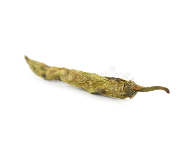 The Texture of Rotten Green Chilies is Characterized by Shrivelling Due ...