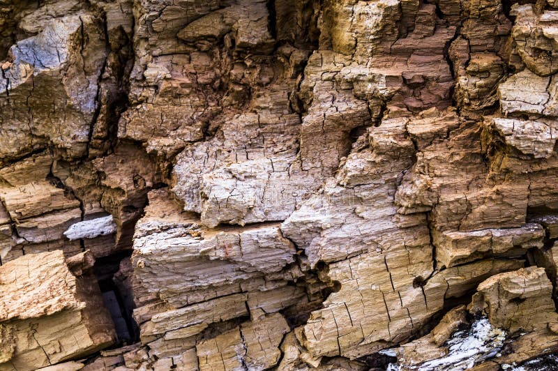 Texture of a Rotten Old Tree Torn Bark Stock Photo - Image of orange ...