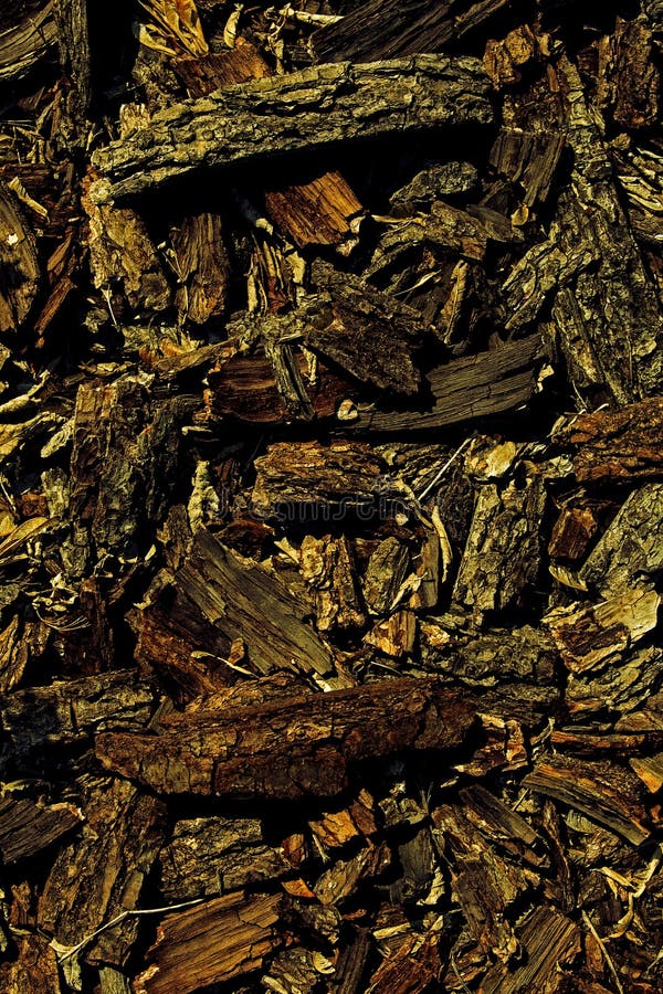 Texture of rotten wood stock photo. Image of dirty, material - 53070330