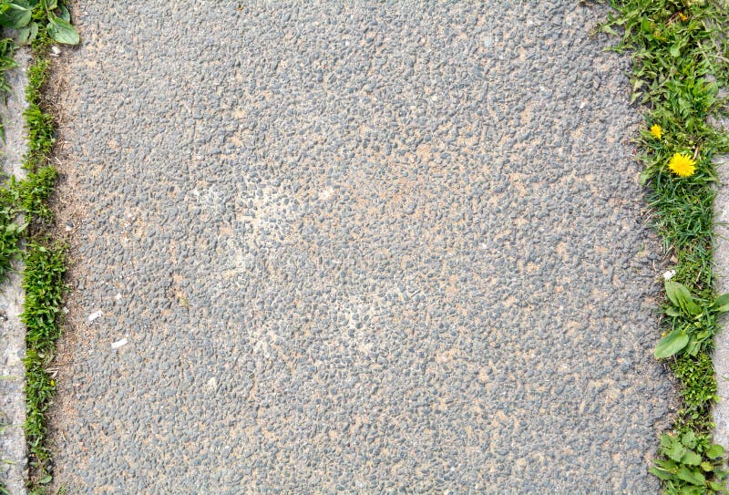 Texture of Rough Asphalt Road with Grass and Flowers of Dandelion at ...