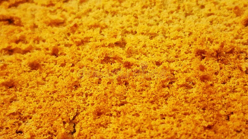 The Texture of the Rough, Brownish Bottom Crust of a Chiffon Cake. the ...