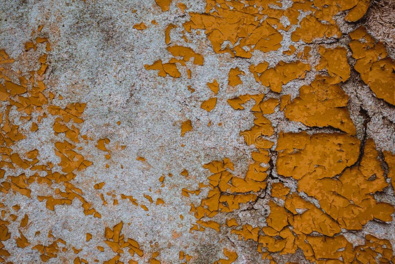 Texture 7 stock photo. Image of design, detail, element - 80351708