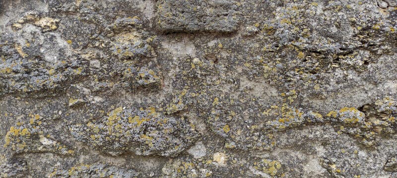 Texture of Rough Natural Stone Close-up Stock Image - Image of ...