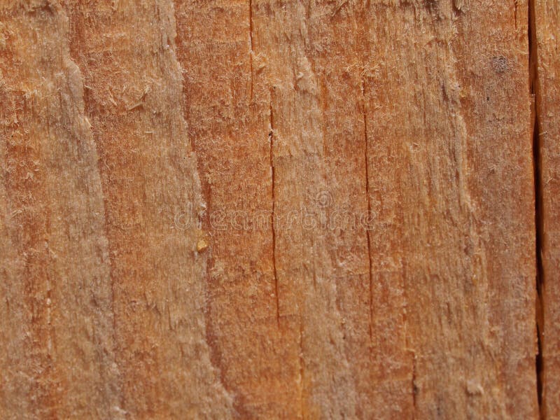 Texture of Rough Pine Board. Wooden Surface Covered with Splinters and ...