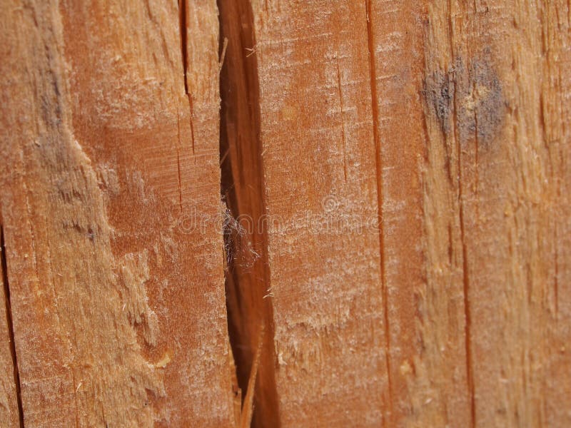 Texture of Rough Pine Board. Wooden Surface Covered with Splinters and ...