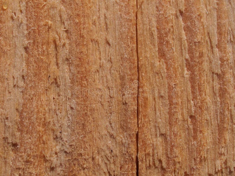 Texture of Rough Pine Board. Wooden Surface Covered with Splinters and ...