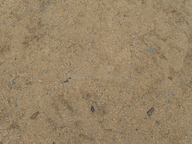 Texture of a rough sand stock photo. Image of copy, exotic - 125091452