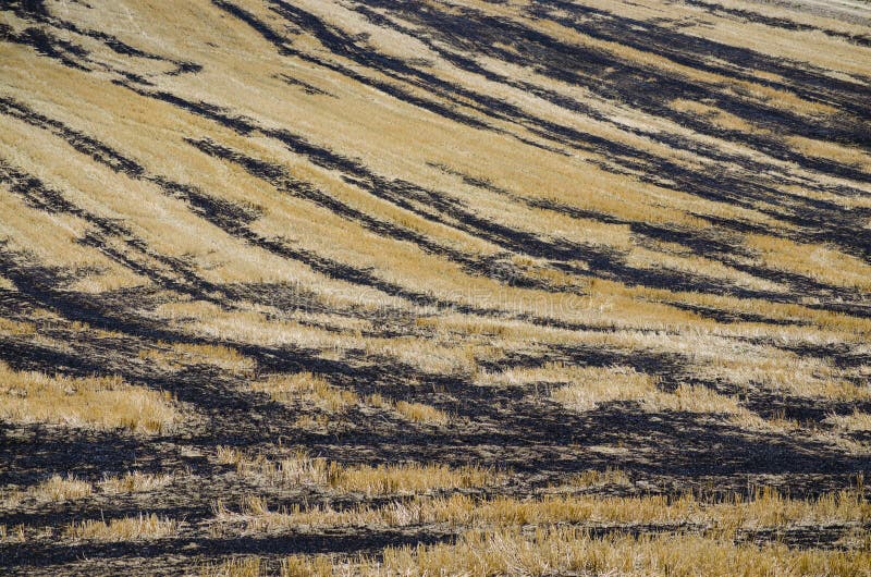 Texture of a rural road stock image. Image of construction - 162710463