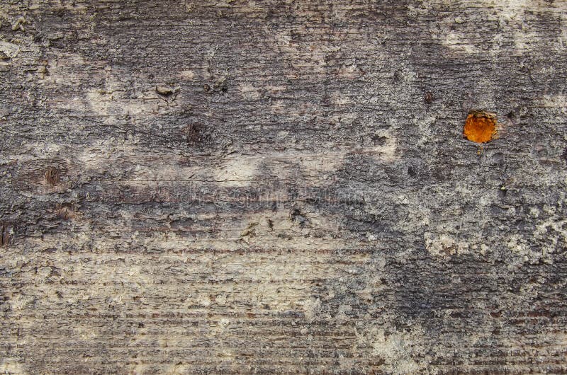 Texture of rustic old wood stock image. Image of aged - 148710215