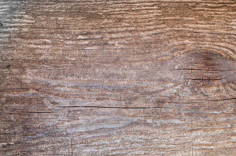 Texture of rustic old wood stock image. Image of brown - 149886989