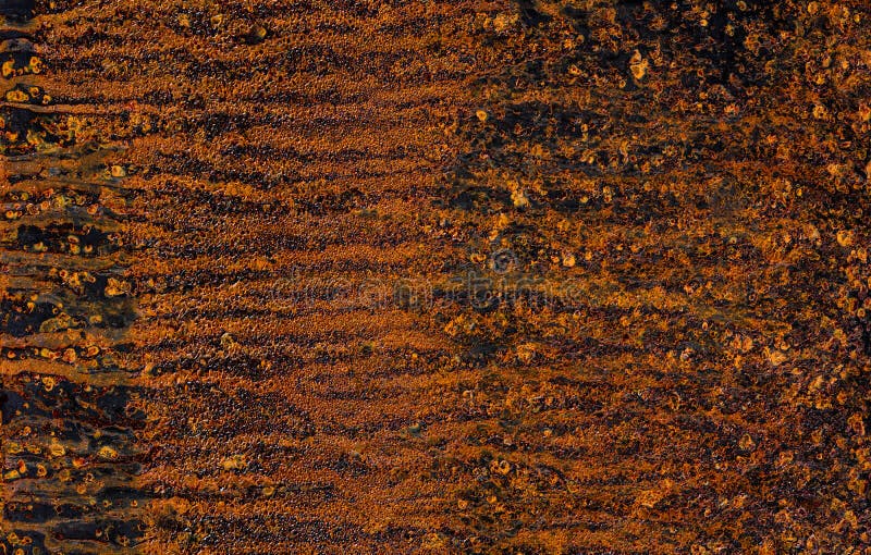 Texture of Rusty Metal Sheet Stock Image - Image of tree, multicolored ...