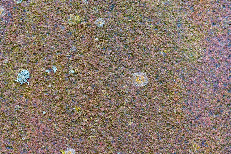 The Texture of Rusty Metal What is Covered with Lichen and Moss Stock ...