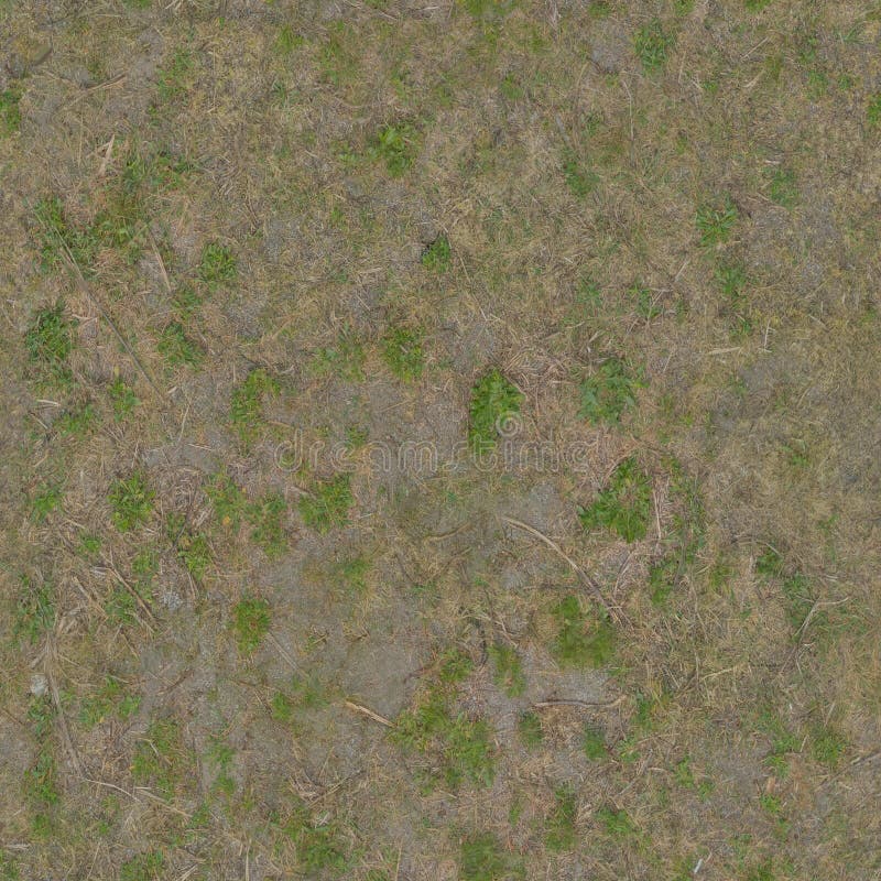 Texture Texture Texture Texture Texture Stock Photo - Image of meadow ...