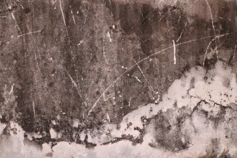 Texture Sale De Mur De Ciment Photo stock - Image du bloc, personne ...