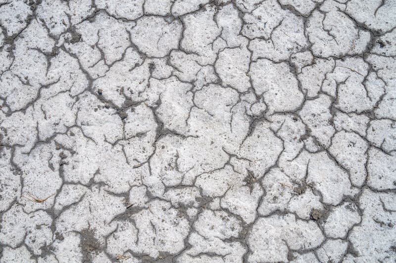 22+ Saline marsh Free Stock Photos - StockFreeImages