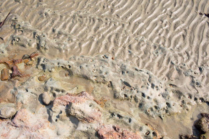 Texture of Sand Beach Showing Wave Pattern and Reef Rock. Stock Photo ...