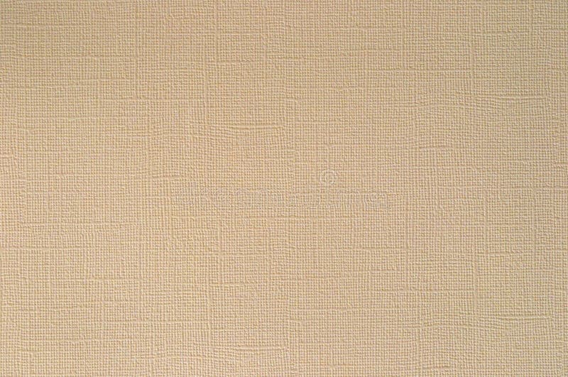 Texture of sand-colored stock image. Image of text, hardwood - 224300435