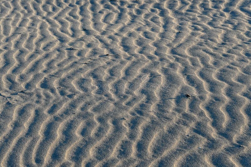 Texture of Sand, Digital Photo Picture As a Background Stock Image ...
