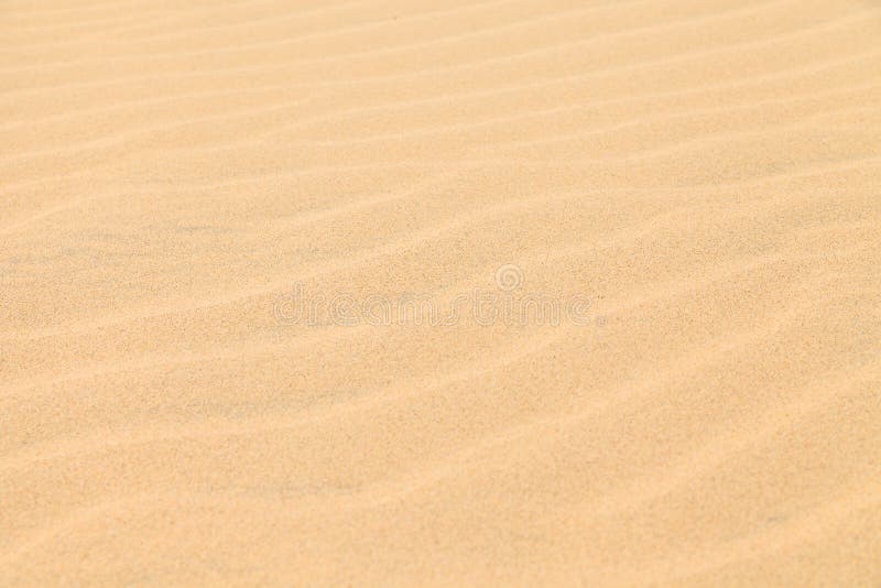 Texture Sand Background,Pattern Grain Beach Sea at Coast,White Granular ...