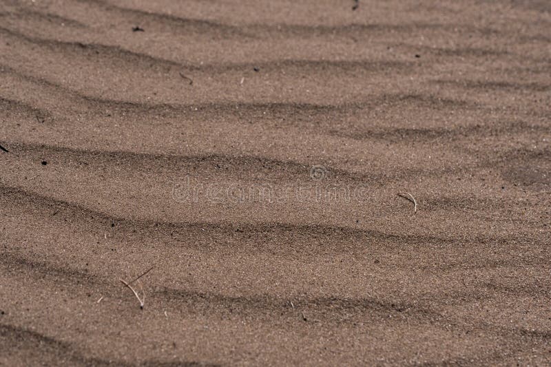 Texture Sand Background,Pattern Grain Beach Sea at Coast,White Granular ...
