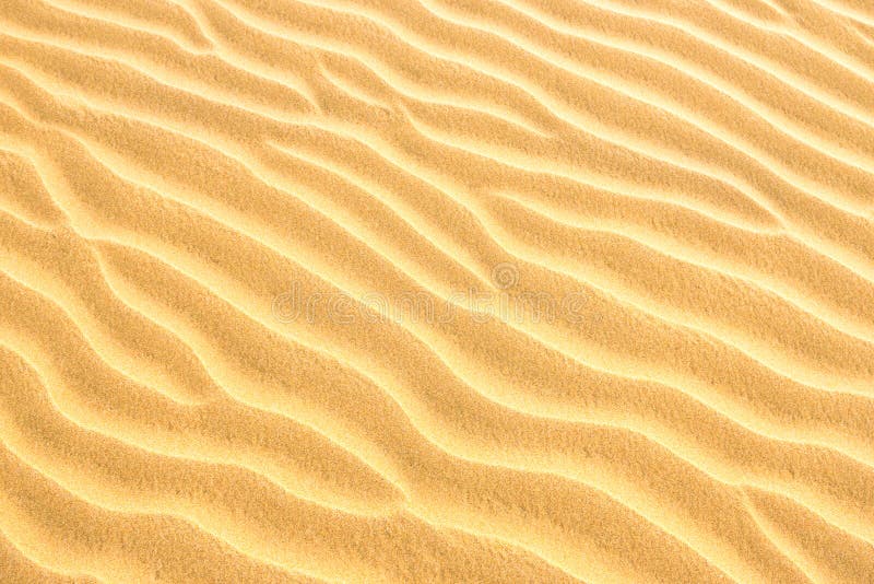 Texture of sand dunes stock photo. Image of design, sandy - 165537458