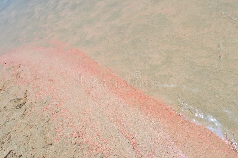 Texture of Sand with an Edge of Sea-wave Foam Stock Image - Image of ...