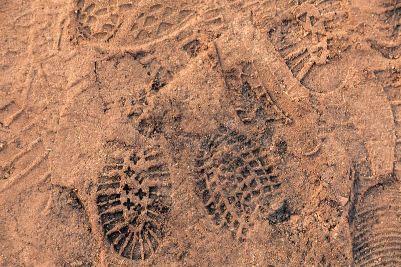 Texture Footprints in the Sand Stock Photo - Image of sole, protector ...