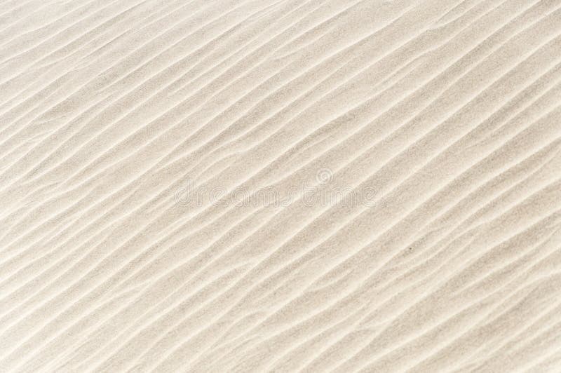 Off White Sand Texture on the Beach in the Oman Stock Image - Image of ...