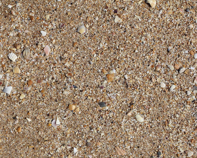 Texture Sand Background,Pattern Grain Beach Sea at Coast,White Granular ...