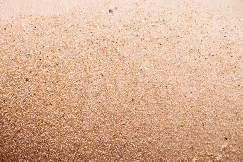 The sand on the skin stock image. Image of rough, surface - 121714635