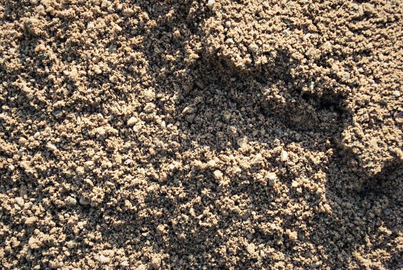 The texture of the sand. stock image. Image of desert - 248208149