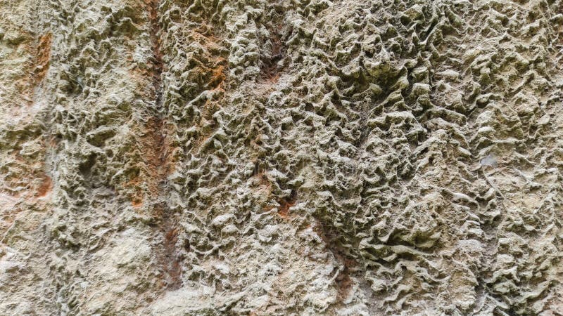Texture of Sand Wall is Calming Stock Image - Image of wall, flower ...
