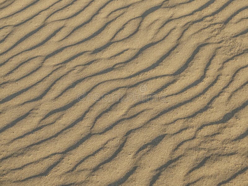 Texture of Sand Waves on the Beach or in the Desert. the Ripples of the ...