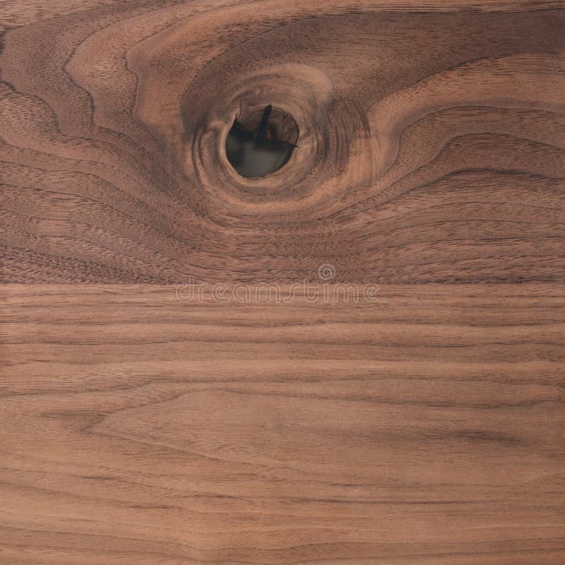Texture Of Sanded Raw Black Walnut Wood Without Finish Stock Image ...
