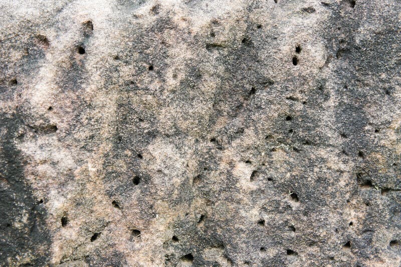 Texture Sandstone Background Natural Stone Sandstone is Characterized ...