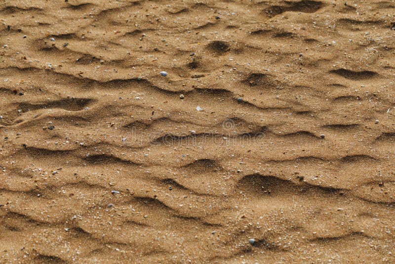 Texture of Sandy Beach Surface with Crushed Shells Stock Photo - Image ...