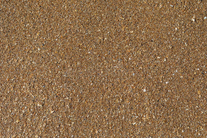 Texture of Sandy Beach Surface with Crushed Shells Stock Photo - Image ...