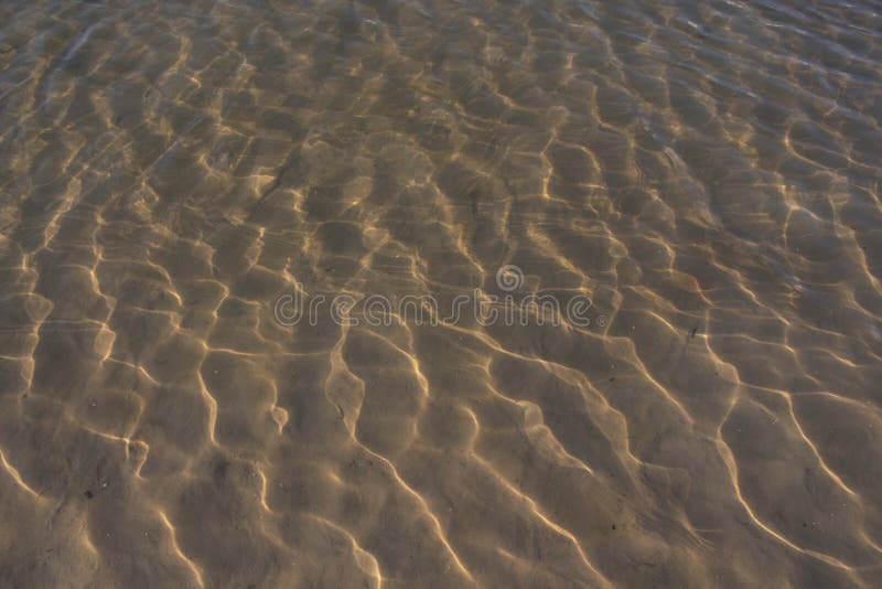 You Can See the Bottom of a Lake with Transparent Waters Stock Photo ...