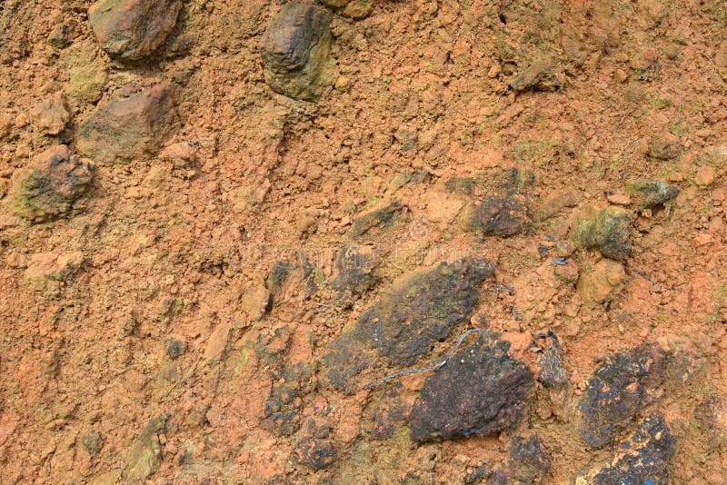 Texture 3696 - Sandy Ground Stock Image - Image of detail, environment ...