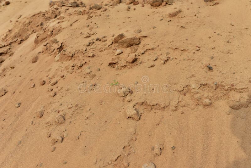 The Texture of the Sandy Layer of the Earth. Sand Background Stock ...