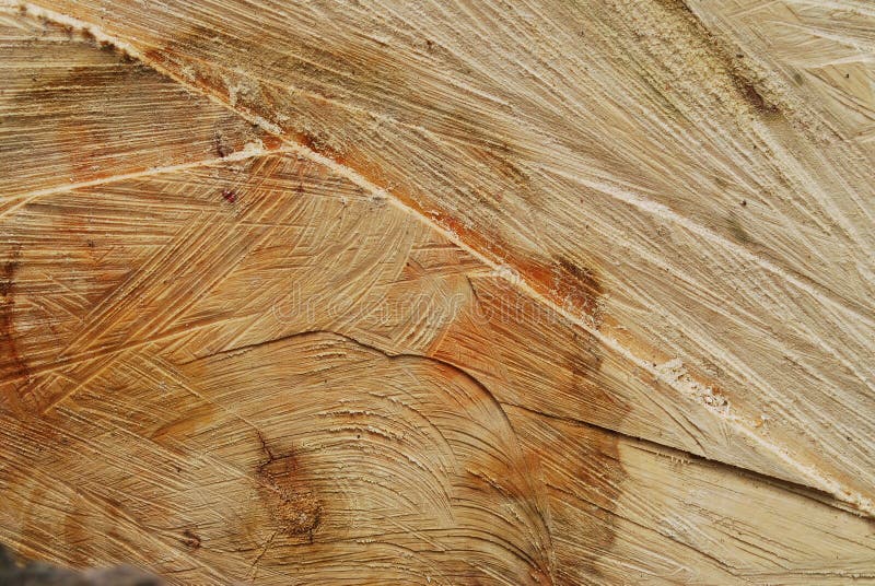 Texture Saw Cut Wood Closeup. Stock Photo - Image of organic, closeup ...