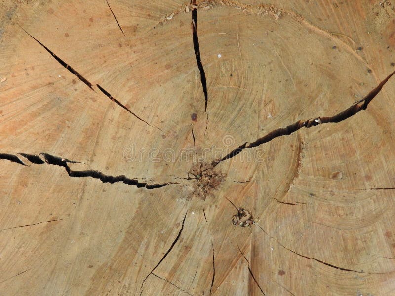 Sawn Timber Texture stock photo. Image of timber, grooves - 99141644