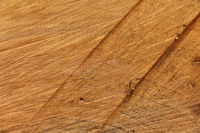 Sawn wood texture stock image. Image of pine, crack - 195200433