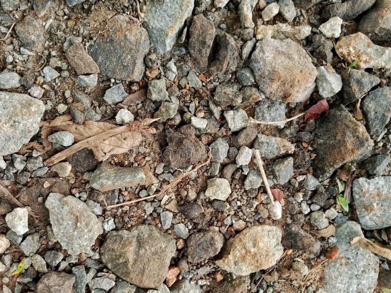 439 Scattered Rock Shapes Stock Photos - Free & Royalty-Free Stock ...