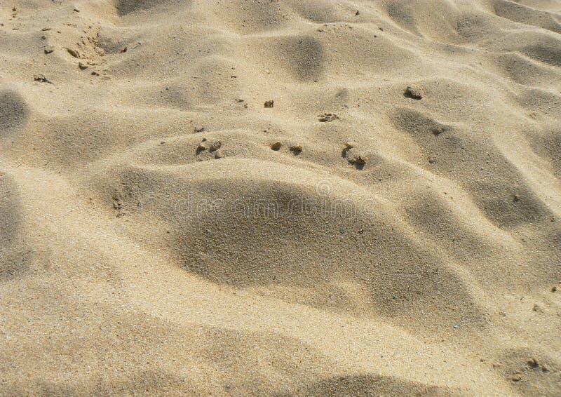 Close-up of Sea Sand at the Beach Stock Image - Image of trace ...