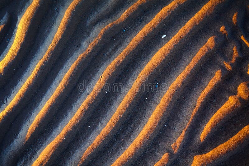 Texture Sea shore stock image. Image of dune, surface - 96162829