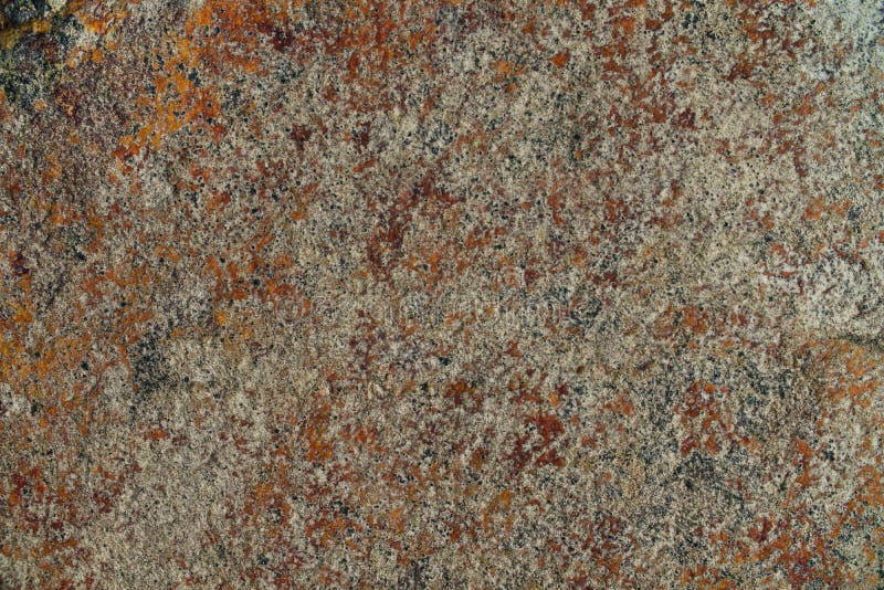 Texture of Sea Stone with Rust. Stock Image - Image of durable, macro ...