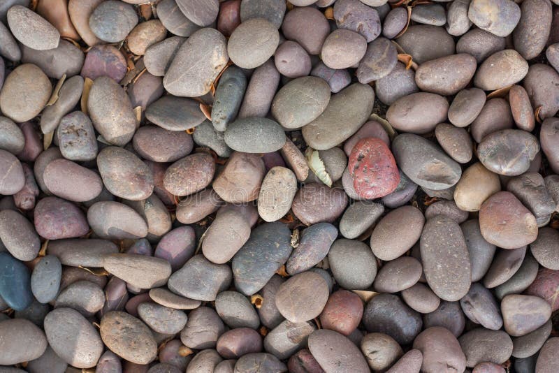 Texture Sea Stones Background. Stock Image - Image of beach, backdrop ...