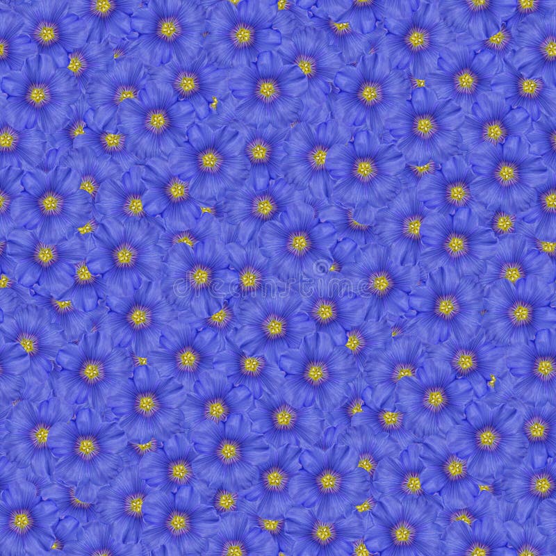 Texture of a Seamless Flower Pattern. Blue Flax. Decorative Design ...